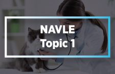 Veterinary NAVLE Resources | Global Talent Partners